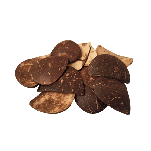 Cáscara de coco natural - DIVERKION.COM